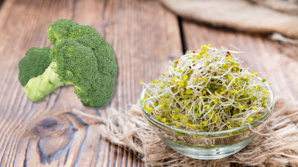 how to make broccoli sprouts, How to prepare broccoli sprouts